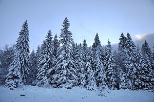SOPA Images - Gallery - First snow in Jura mountains, France