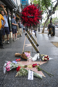 SOPA Images - Gallery - Flowers placed at Paul Reubens Star in Los ...