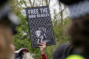 SOPA Images - 图库 - Protest against MBR Acres in Huntingdon, UK
