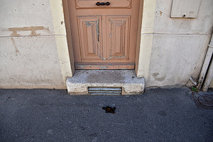SOPA Images - Gallery - Dog poop in Marseille, France