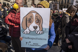 SOPA Images - Gallery - Protest against animal testing in Barcelona, Spain