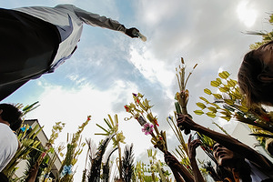SOPA Images - Gallery - Catholics wave palm branches to receive water ...