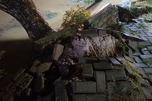 SOPA Images - Gallery - Fallen tree due to the strong winds in Kendari ...
