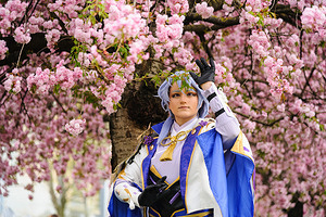 SOPA Images - Gallery - Sakura trees blooming in Lviv, Ukraine