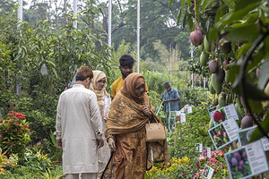 SOPA Images - Gallery - National Tree Fair kicks off in Dhaka, Bangladesh